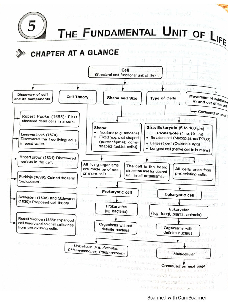 Revision+ Solved Question Bank For Chapter-5 (Bio) | PDF
