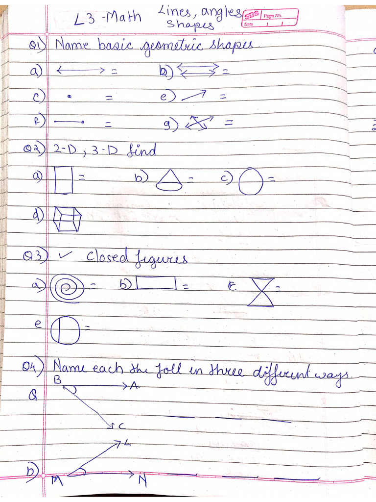 Ls 3 Lines, Shapes, Angles | PDF