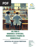 Regras e Faixas do Jiu-Jitsu IBJJF | PDF