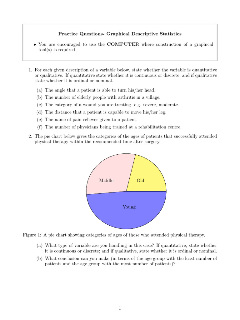 Graphical Descriptive Statistics Practice | PDF