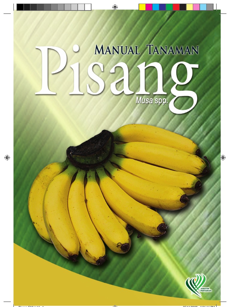 Manual Tanaman Pisang | PDF