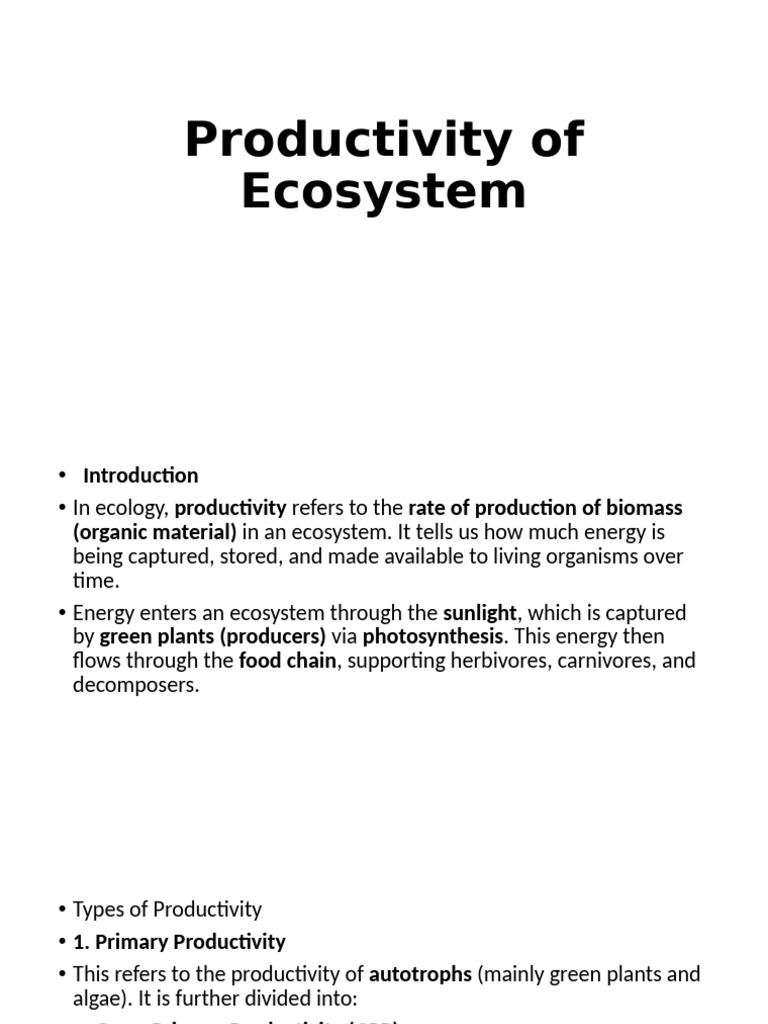 Ecosystem Productivity Explained | PDF | Primary Production | Ecosystem