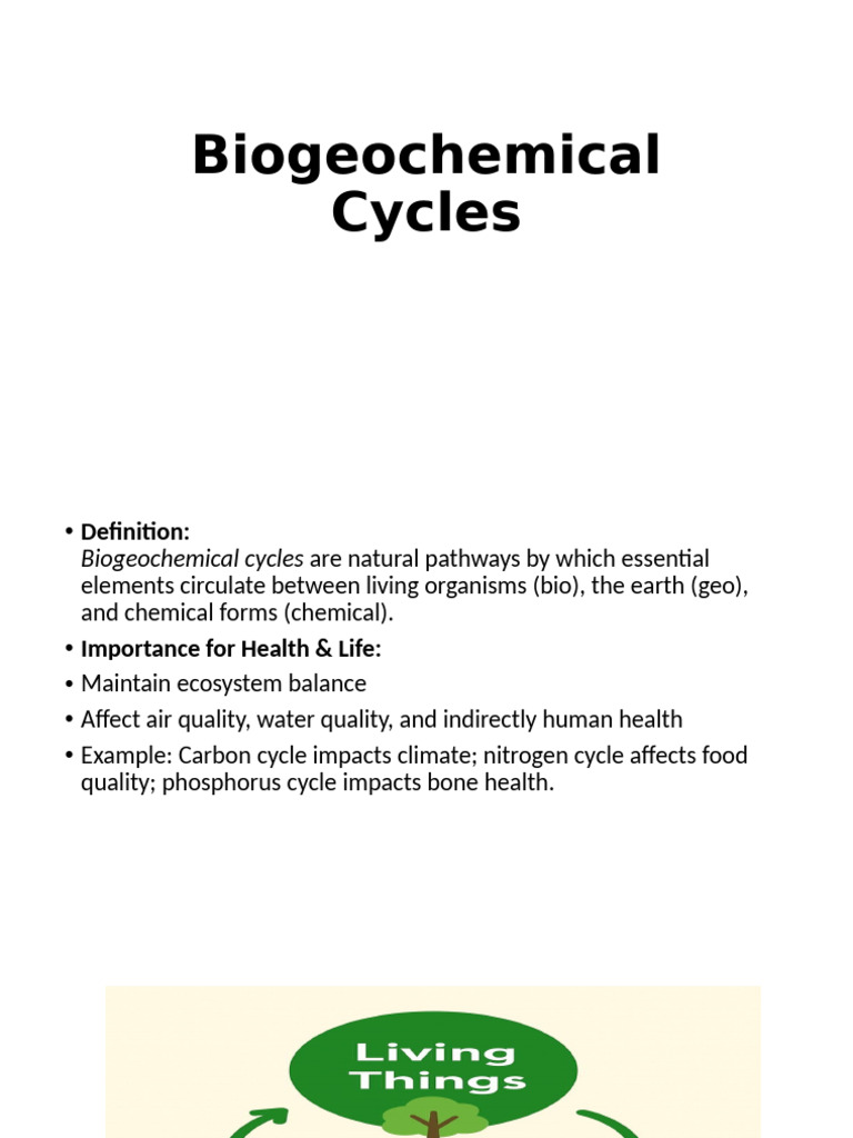 Biogeochemical Cycles and Human Health | PDF | Fertilizer | Carbon Dioxide