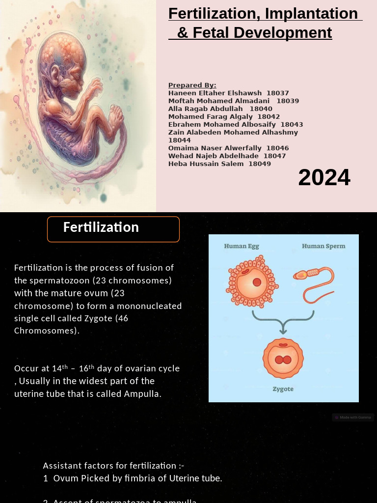 Fertilization, Implantation & Fetal Developement | PDF | Reproduction ...