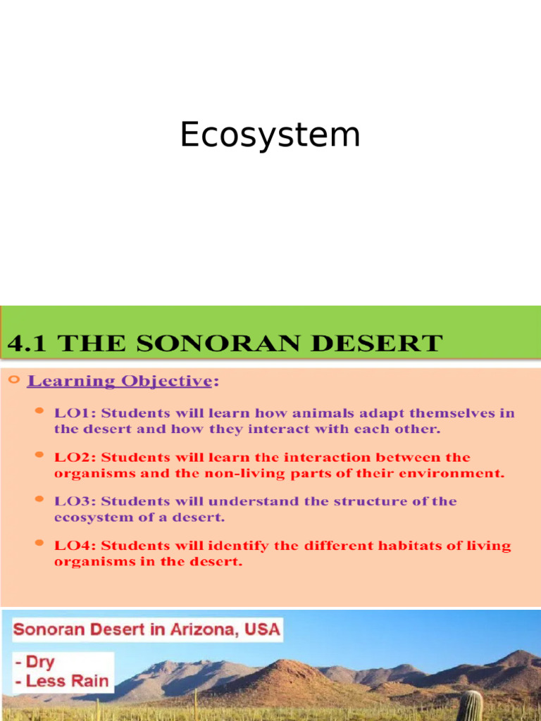 Ecosystem | PDF