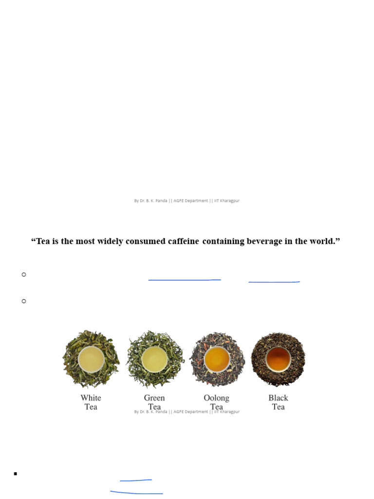 HVCC Tea Class Notes BKP | PDF | Tea