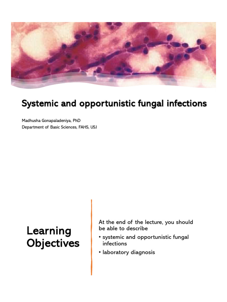 Systemic and Opportunistic Fungal Infections | PDF | Infection | Fungus