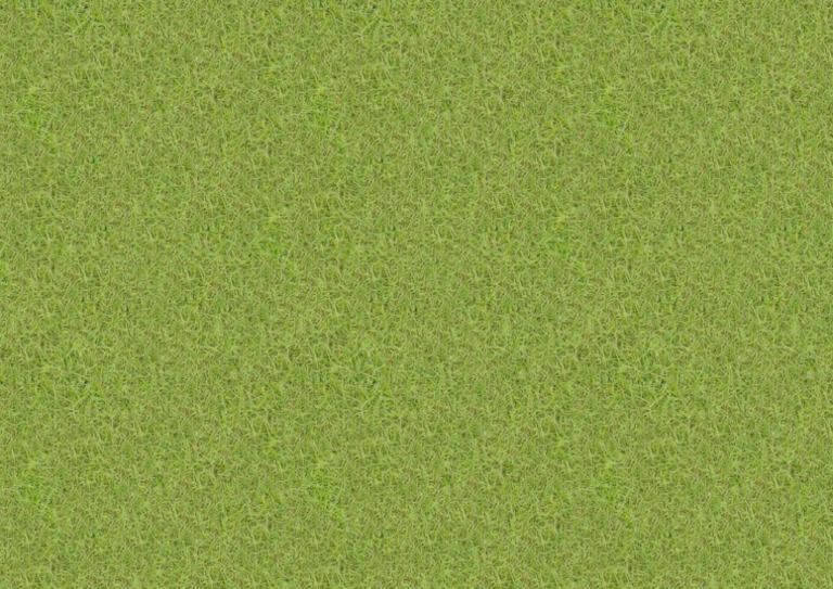 Rumput | PDF