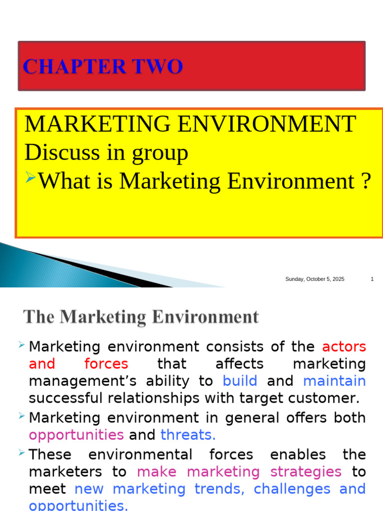 CH - 2 - Marketing Environment | PDF | Marketing | Demography