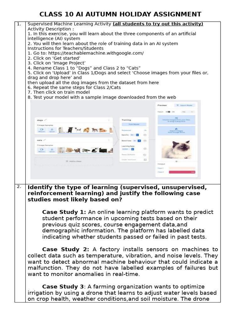 Class 10 AI Holiday Assignment Guide | PDF | Applied Mathematics