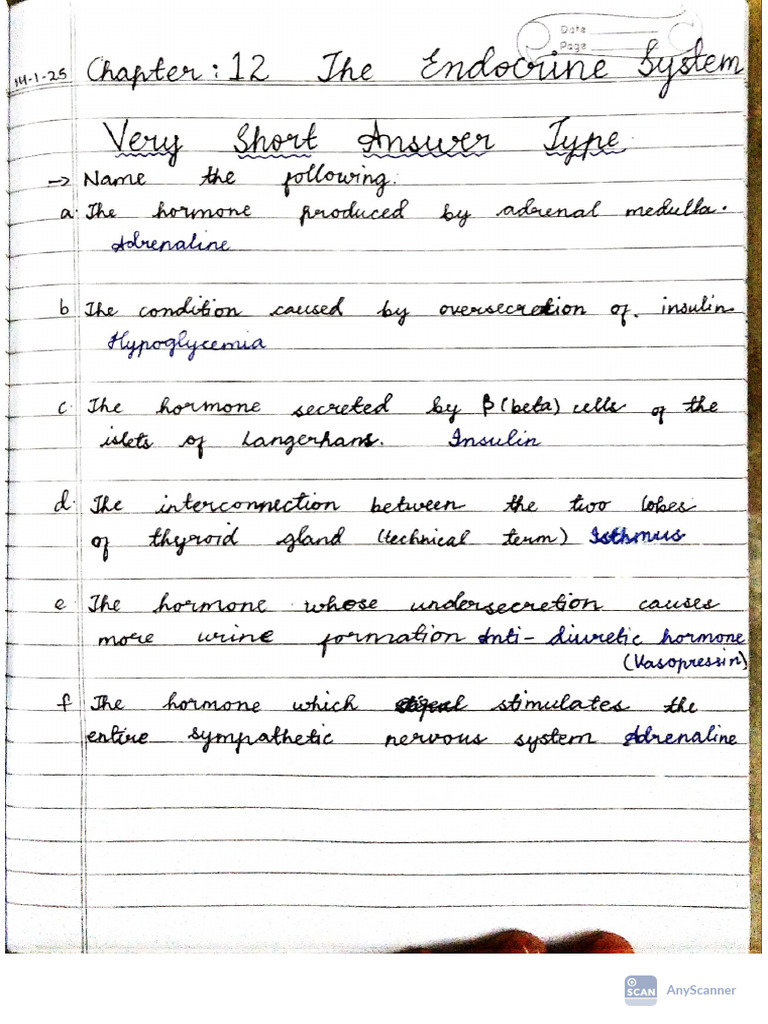 Chapter 12 Endocrine System | PDF