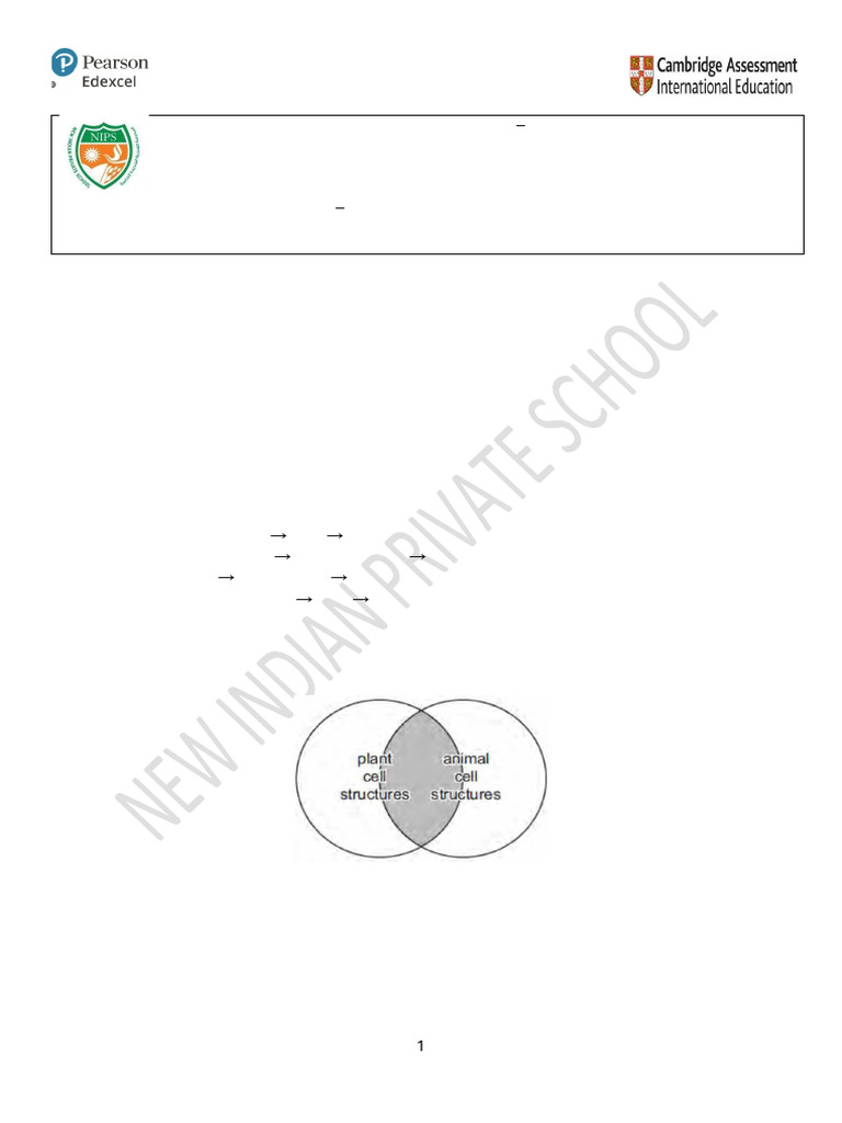 Worksheet Chapter 2 | PDF | Cell (Biology) | Tissue (Biology)
