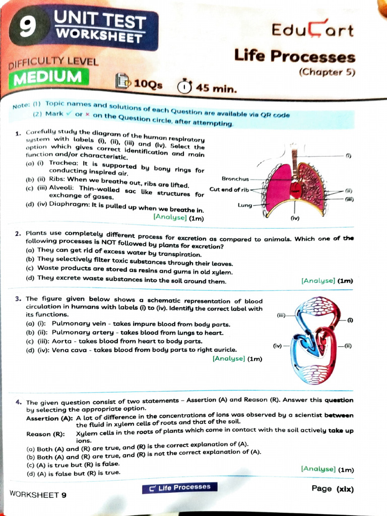Class 10th Picture Based Question I With Anno | PDF
