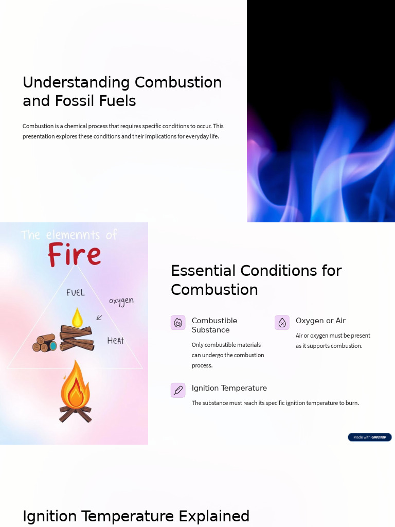 Understanding Combustion and Fossil Fuels | PDF | Combustion | Oxygen