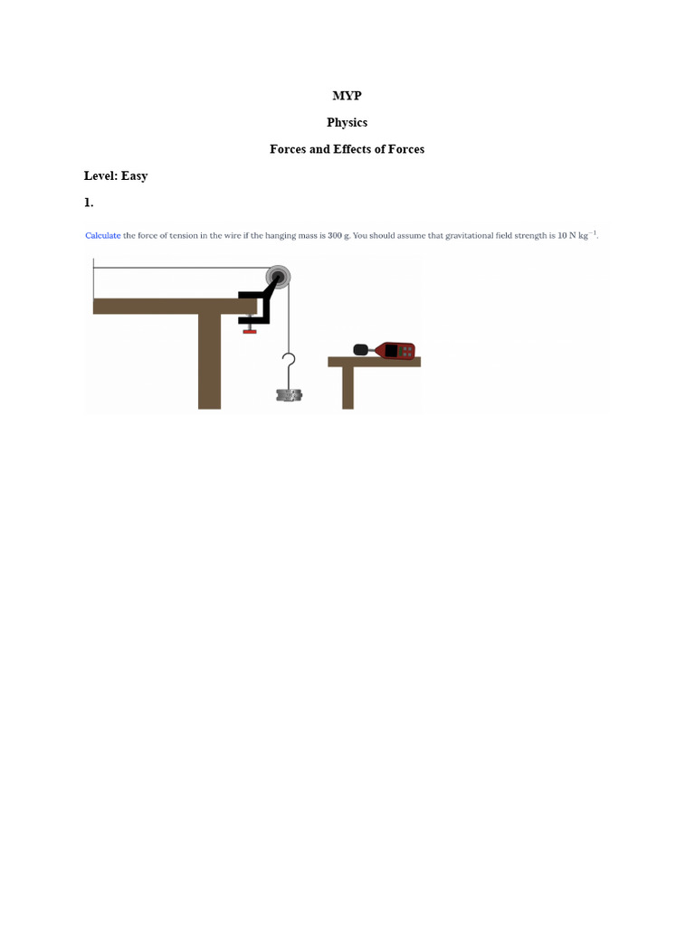 MYP-Forces and Effects of Forces | PDF