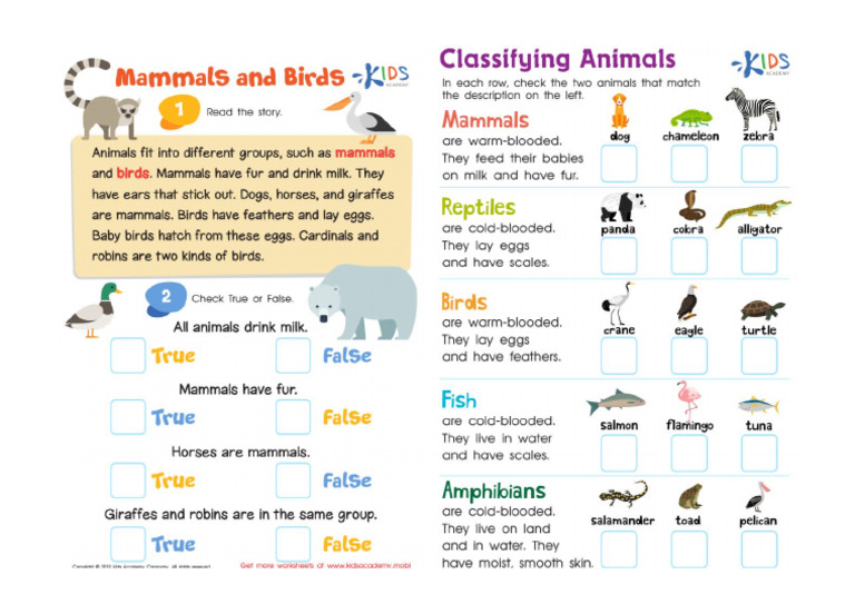 Classifying Animals Pdf