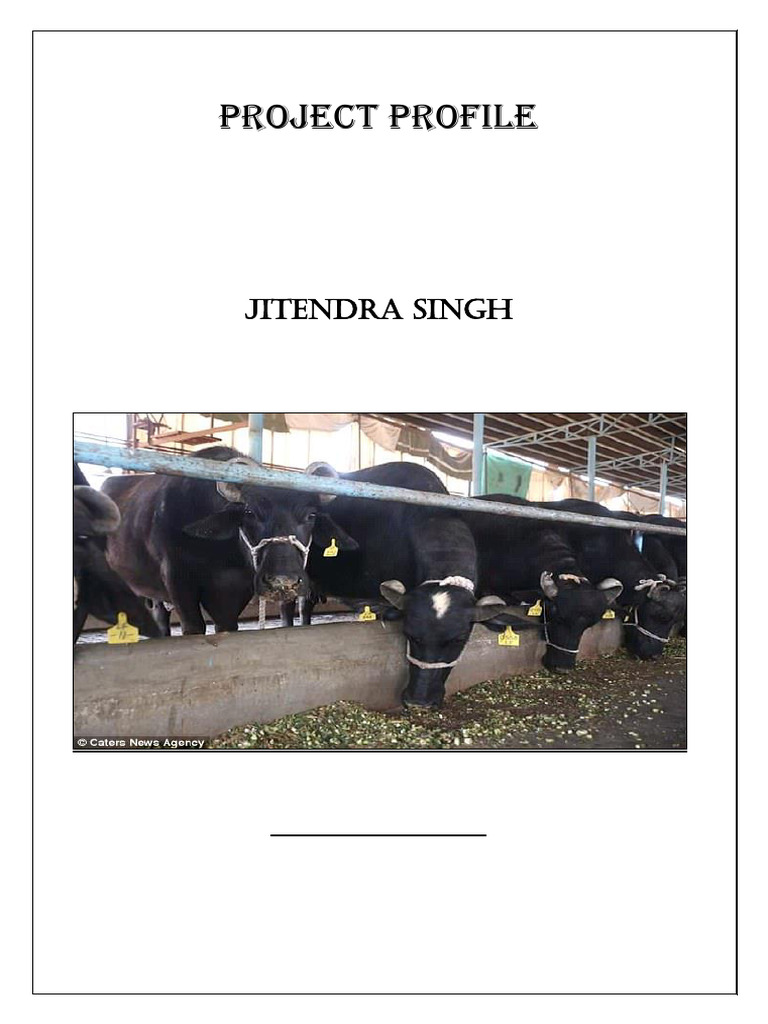 Project Jitendra | PDF | Dairy | Milk