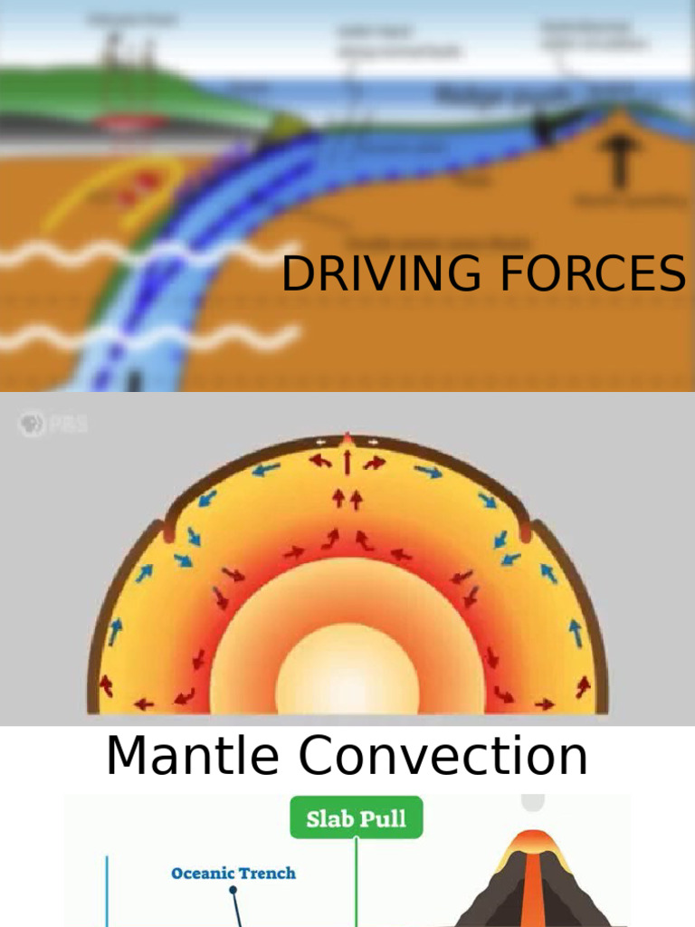 Driving Forces | PDF