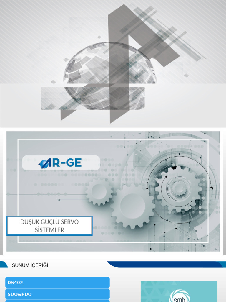DS402 Sunumu | PDF