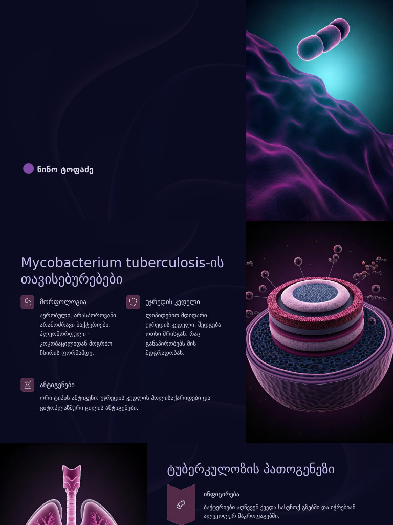 Tuberkulozi Infektsiuri Daavadebis Mimokhilva | PDF