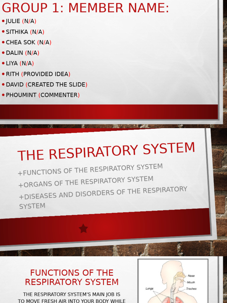 Biology Respiratory System Slide | PDF | Respiratory Diseases ...