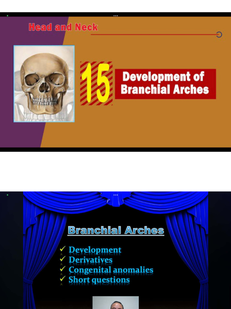 H&N 15 Development of Branchial Arches ايمن خنفور | PDF