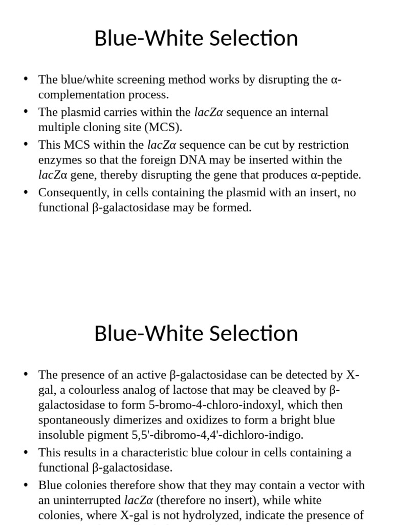 Blue White Selection | PDF