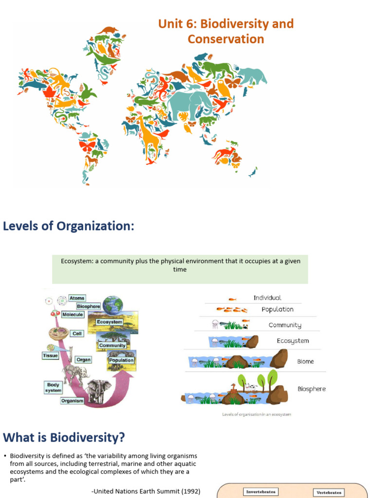 Understanding Biodiversity and Conservation | PDF | Biodiversity ...