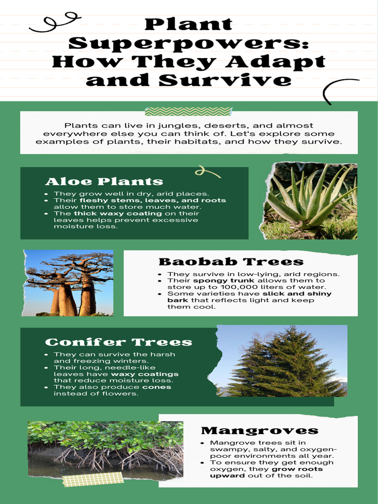 Plant Superpowers How They Adapt and Survive Education Infographic in ...
