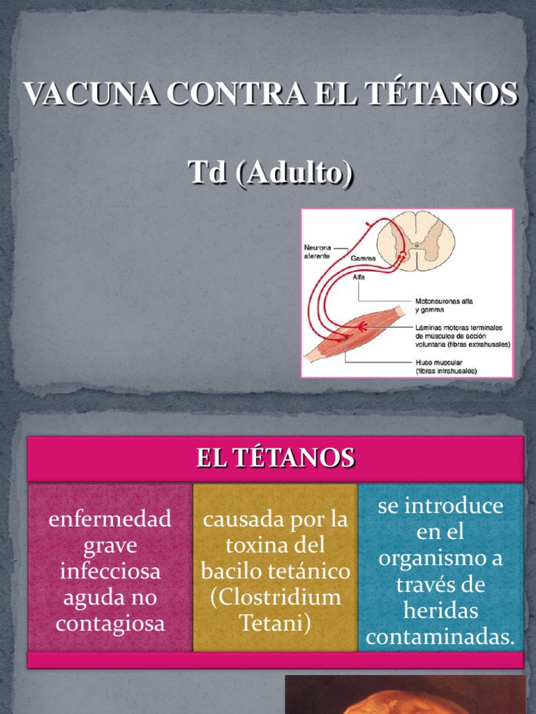 Vacuna Td: Prevención del Tétanos | PDF | Especialidades Medicas ...
