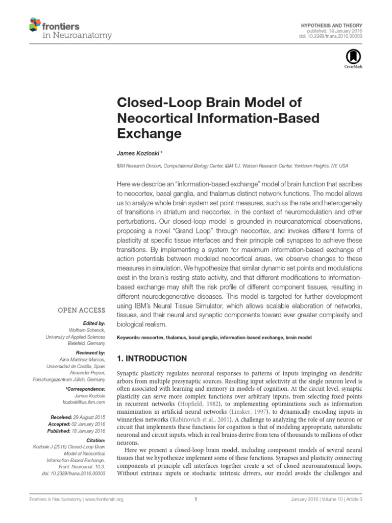 Closed Loop Brain Neocortical | PDF | Striatum | Neuroscience