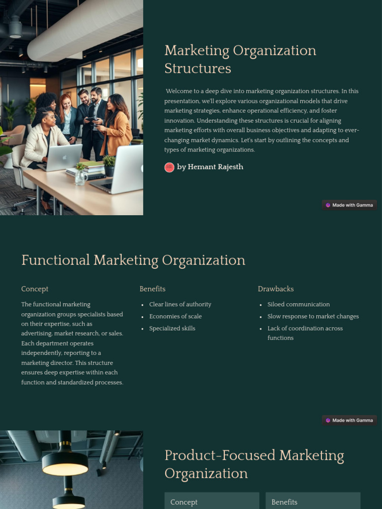 Marketing Organization Structures Explained | PDF | Marketing | Market ...