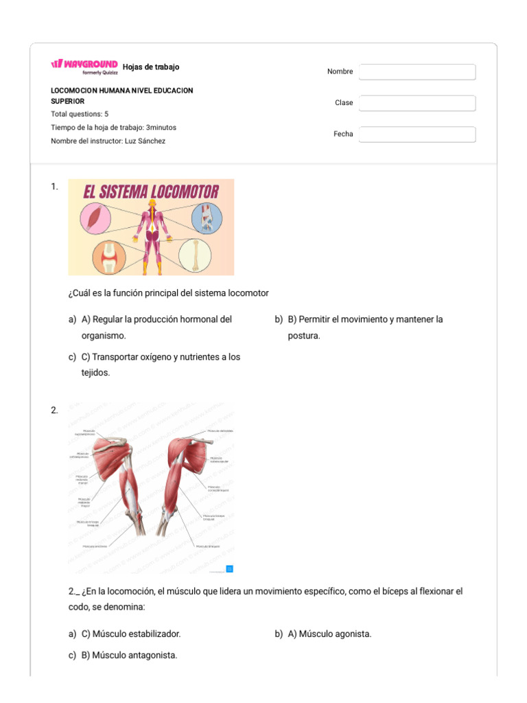 Locomocion Humana Nivel Educacion Superior - Wayground | PDF