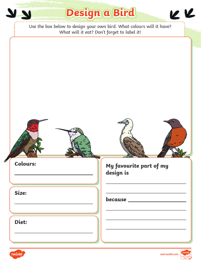 T D 1742830260 Ks1 Design A Bird Worksheet Ver 1 | PDF