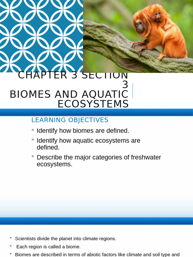 Ch. 3 Sec. 3 Biomes and Aquatic Ecosystem | PDF | Ecosystem | Desert