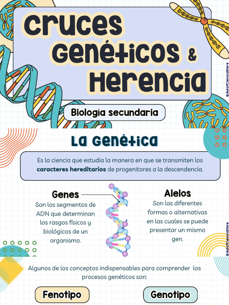 Presentación. Cruces Genéticos | PDF | Dominancia (Genética) | Cigosidad