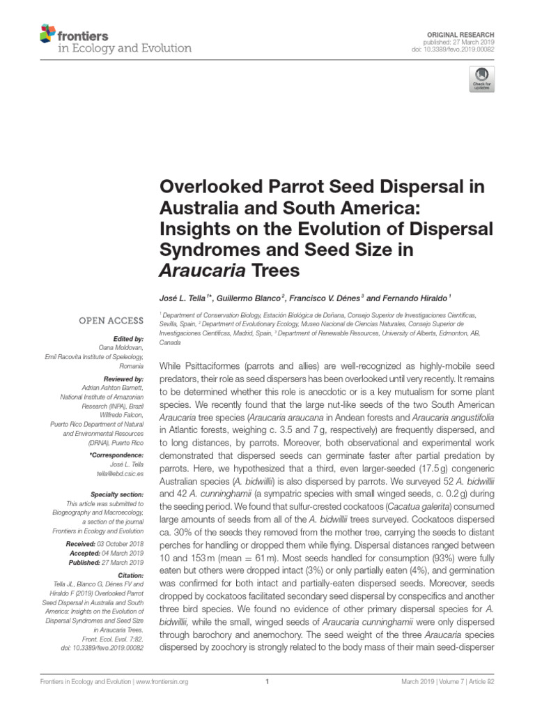 Overlooked Parrot Seed Dispersal in Australia and | PDF | Organisms ...