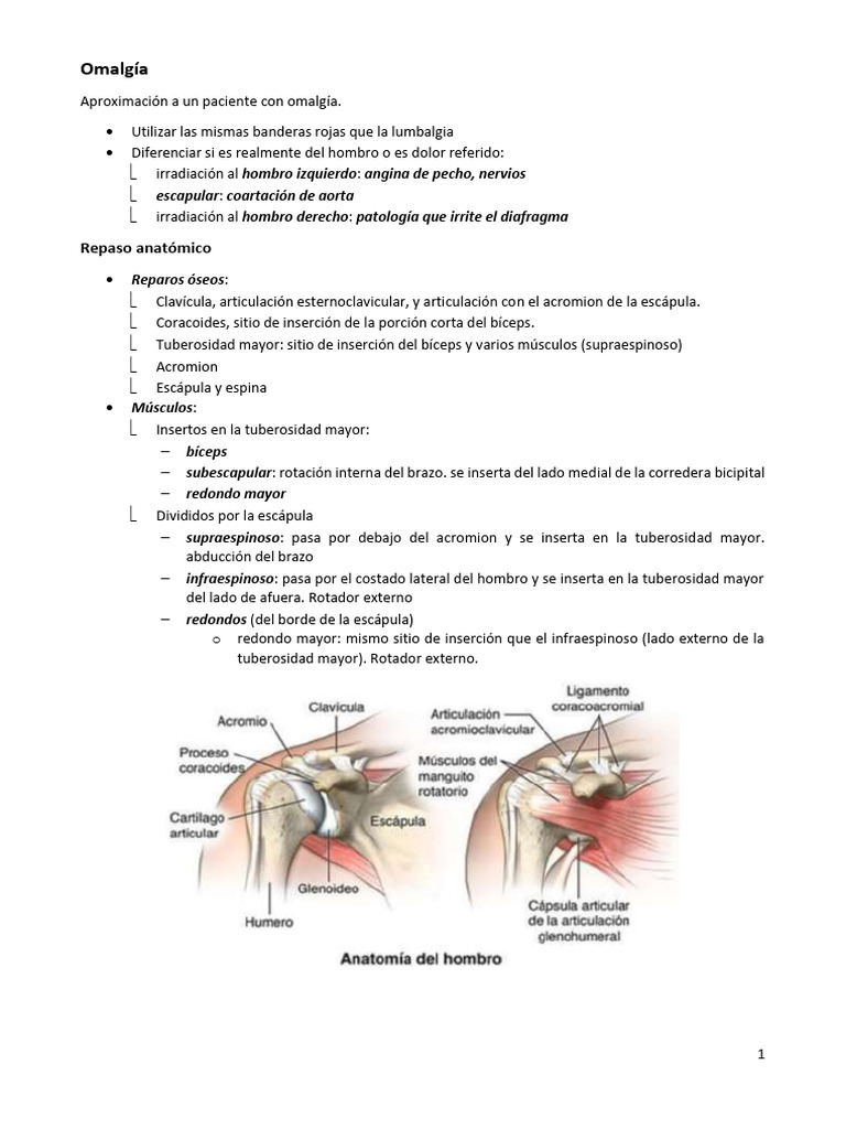 Omalgía | PDF | Hombro | Articulaciones