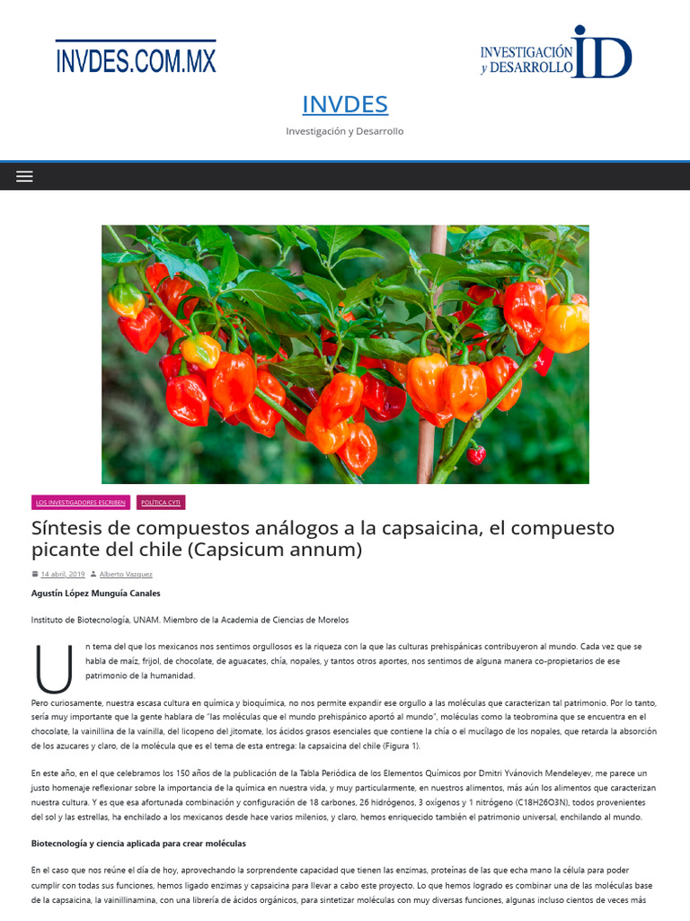 Síntesis de compuestos análogos a la capsaicina, el compuesto picante ...
