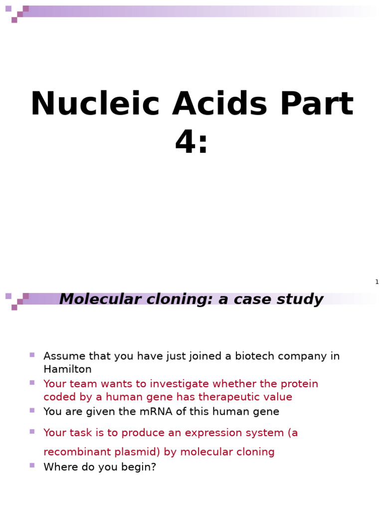 2025 2B03 Lecture 05 Nucleic Acids Part 4 With Full Notes 0912 - Copy ...