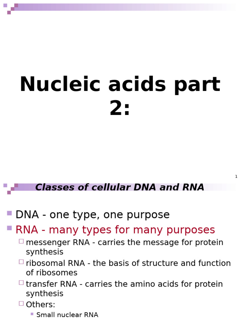 2025 2B03 Lecture 03 Nucleic Acids Part 2 With Full Notes 0905 | PDF ...