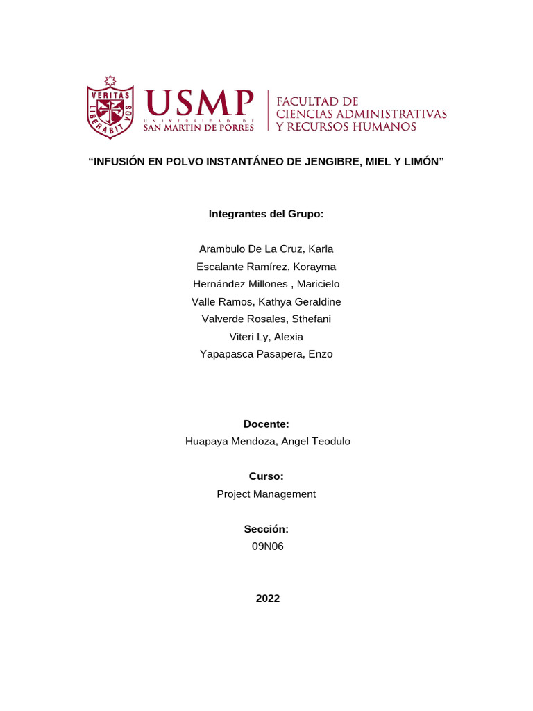 TIF Project Management | PDF | Marketing | Business