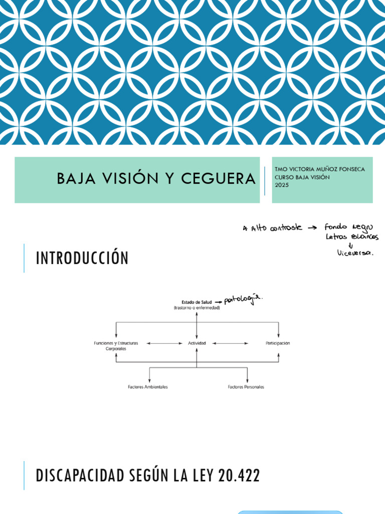 Baja Visión y Ceguera 2025 - 250825 - 123725 | PDF | Invalidez ...