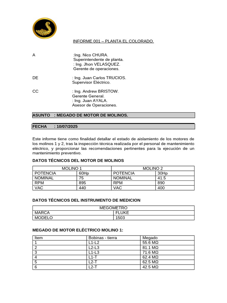 Informe de Megado de Motores de Molinos | PDF | Ingenieria Eléctrica ...