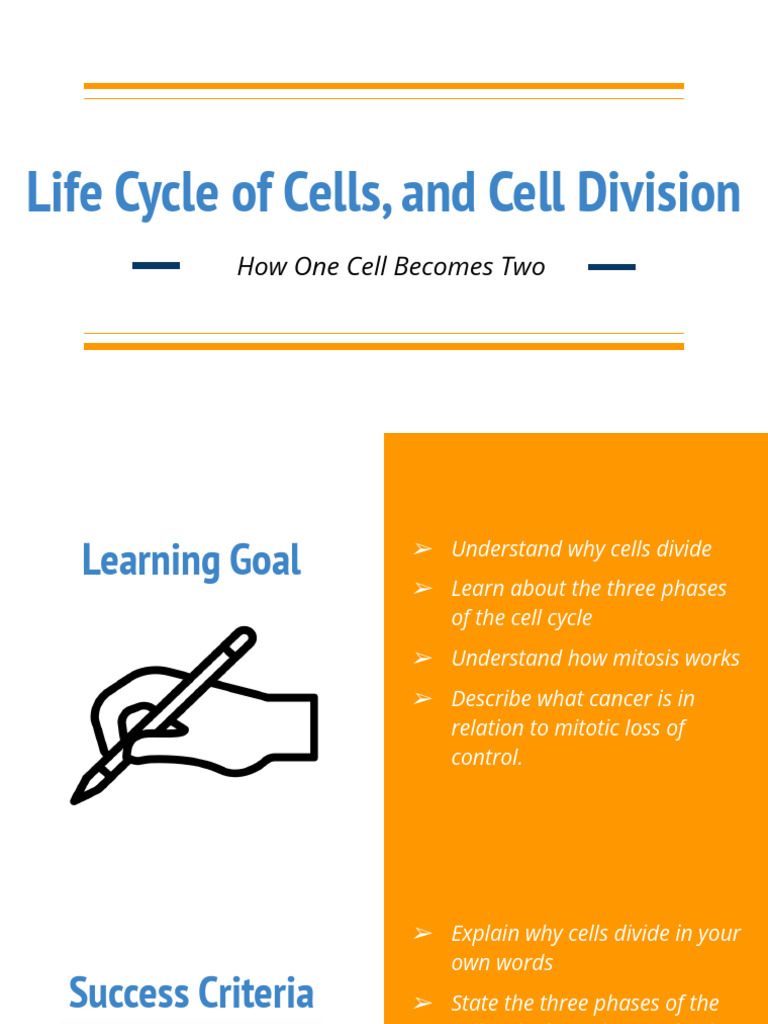 Lesson 3 - Life Cycle of Cells and Cell Division | PDF | Mitosis | Cell ...