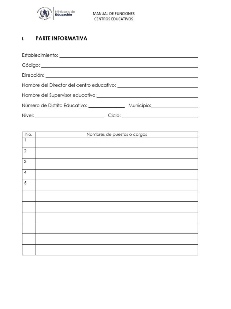 Formato MANUAL DE FUNCIONES 2025 | PDF