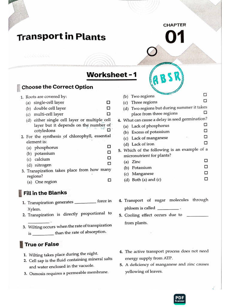 8 Bio Tablet Transportation in Plant Worksheet 1,2 | PDF