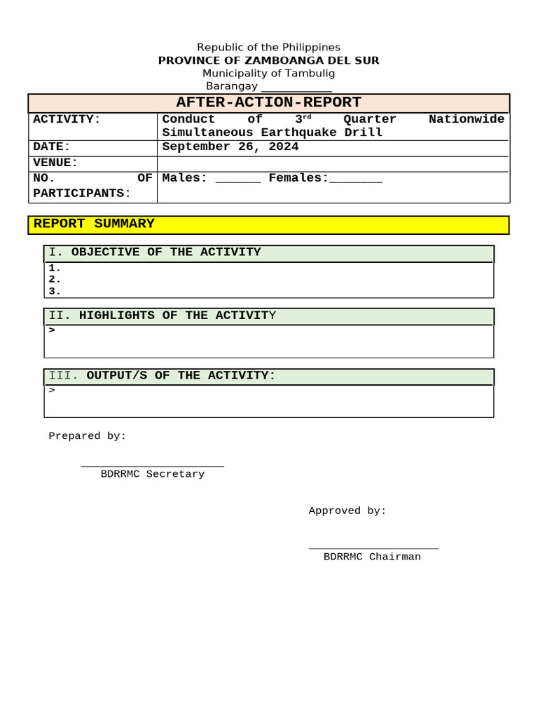 Barangay After Action Report For Nsed | PDF
