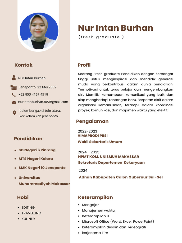 Nur Intan Burhan CV | PDF