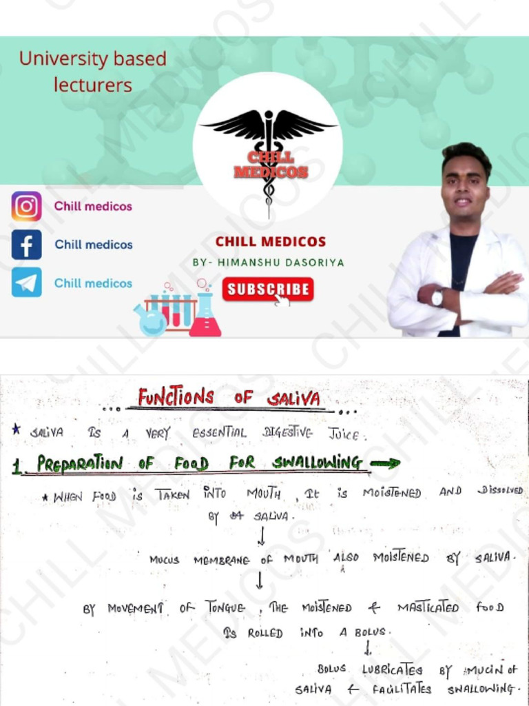 Digestive System Physiology | PDF